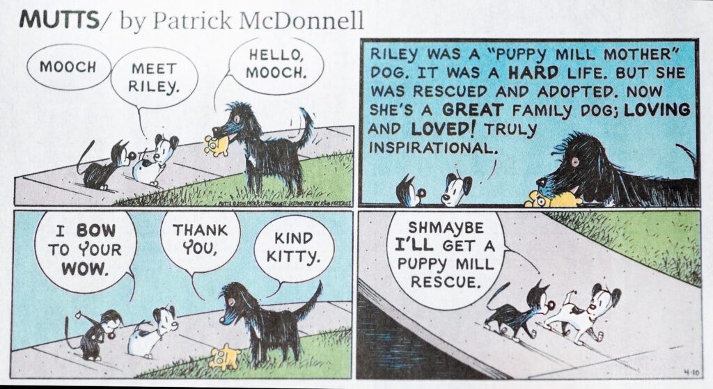 Riley's Story - Life of Riley