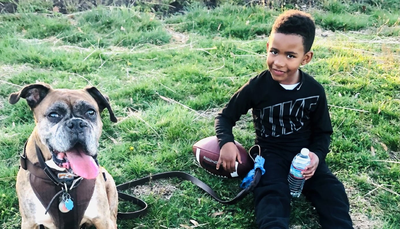 Adopt - Life of Riley